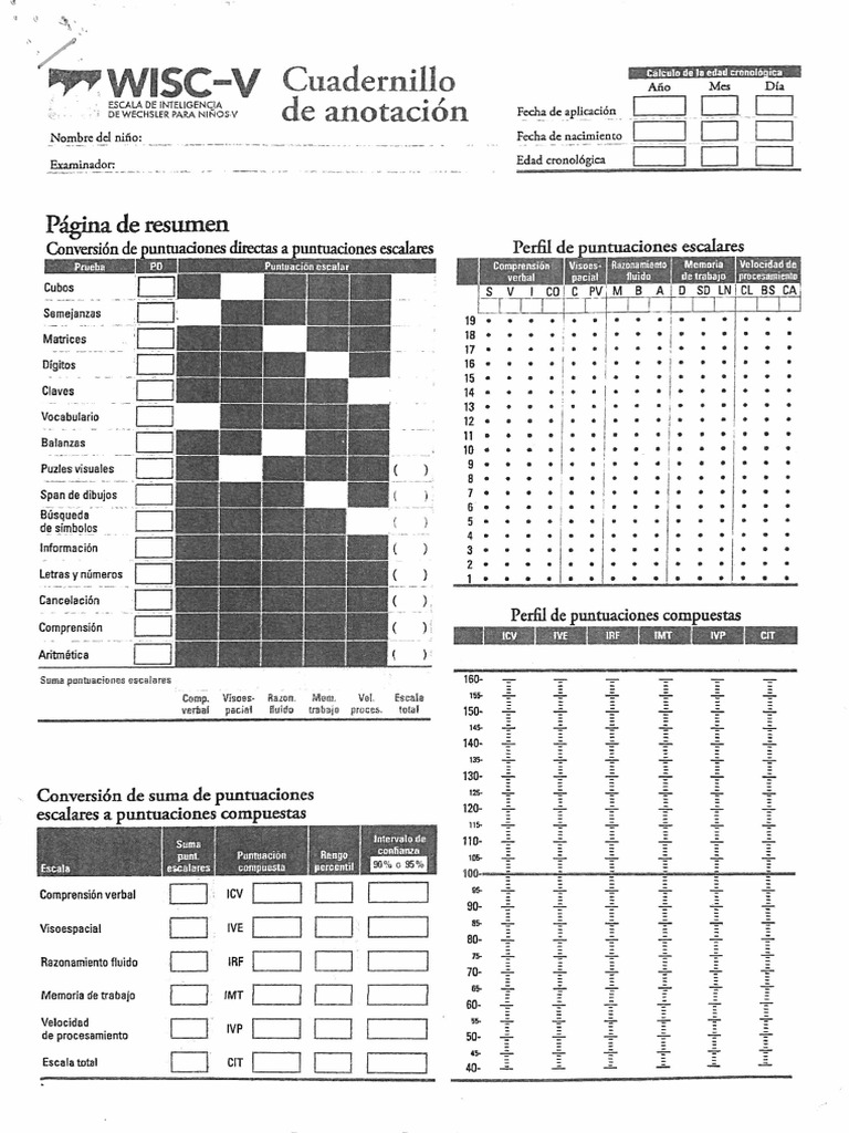 PROTOCOLO WISC | PDF