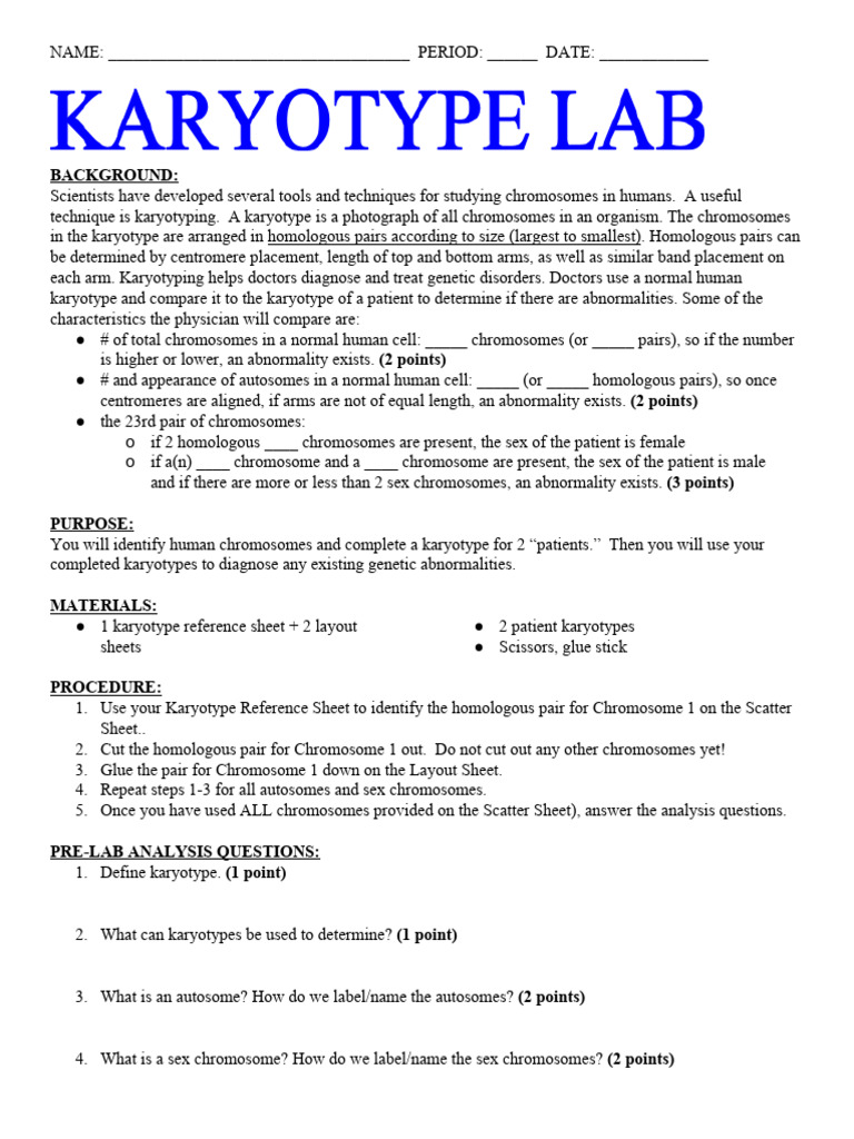 Karyotype Lab | PDF