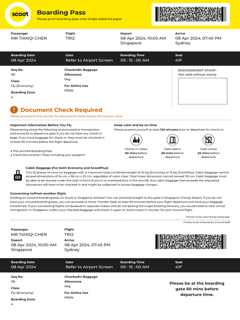 Boarding Pass | PDF