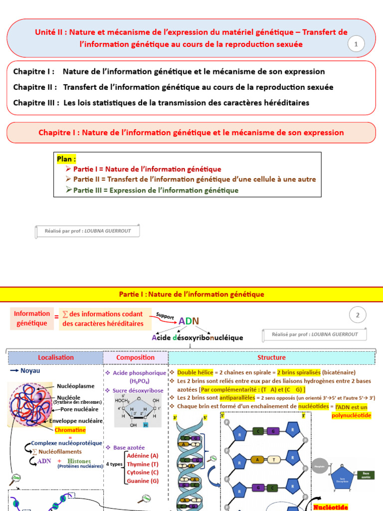 SVT Résumé Chapitre I Unité II | PDF