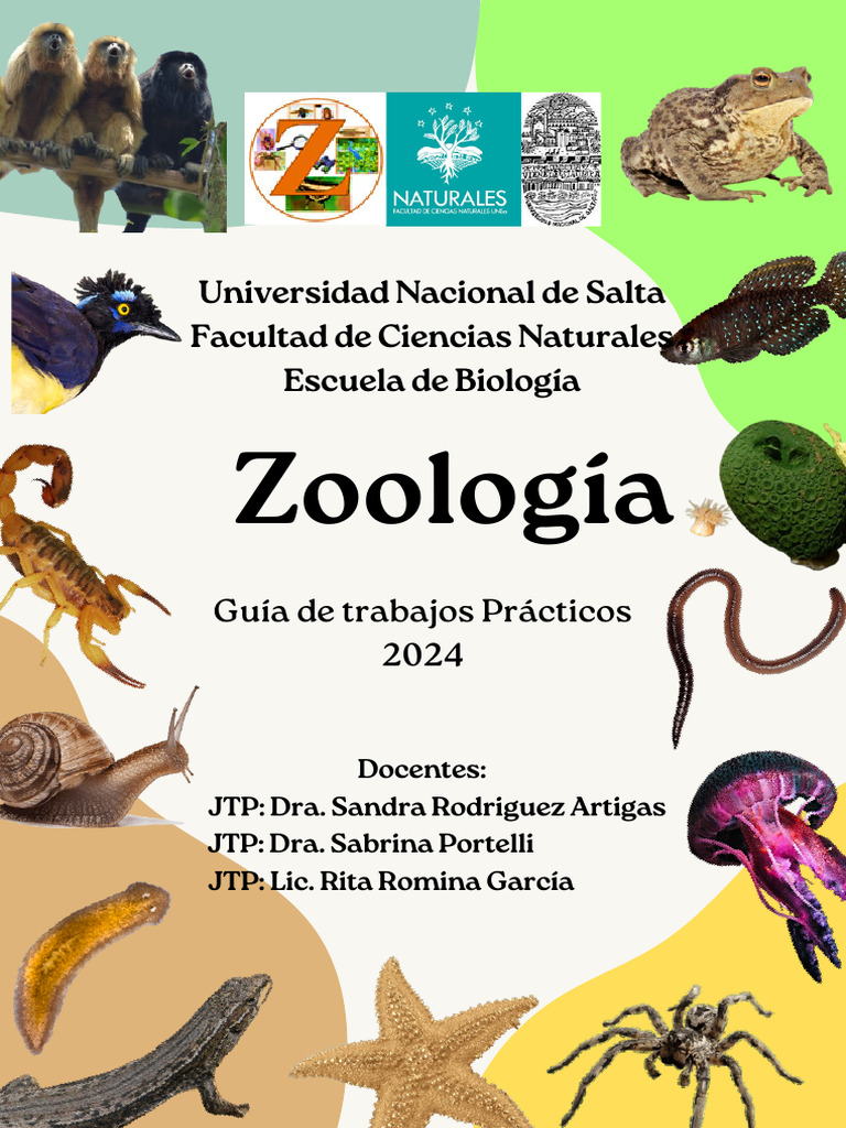 Guía de Trabajos Prácticos de Zoología 2024 | PDF | Laboratorios