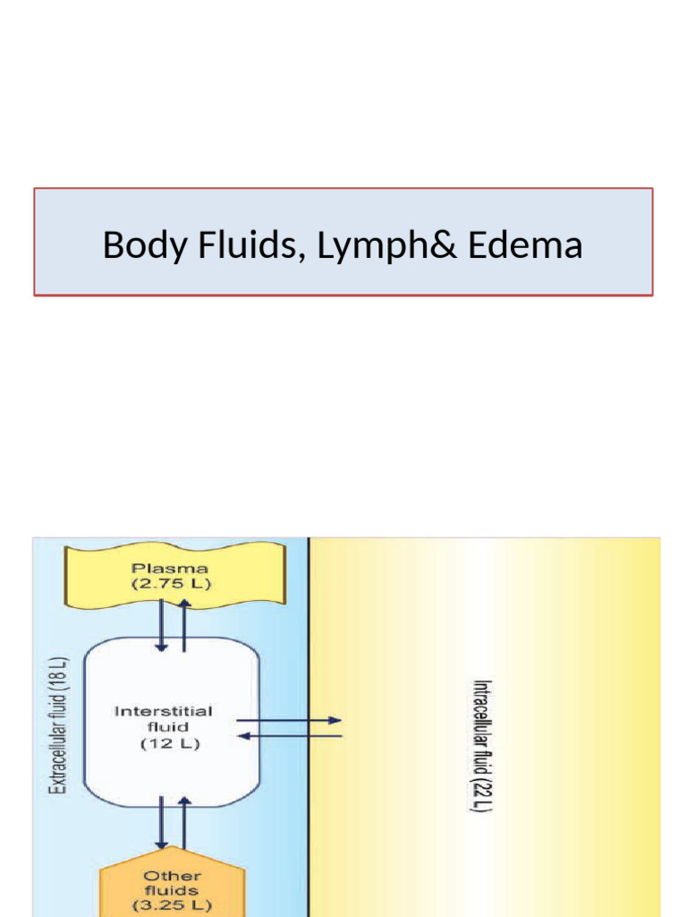 Body Fluids, Lymph& Edema | PDF