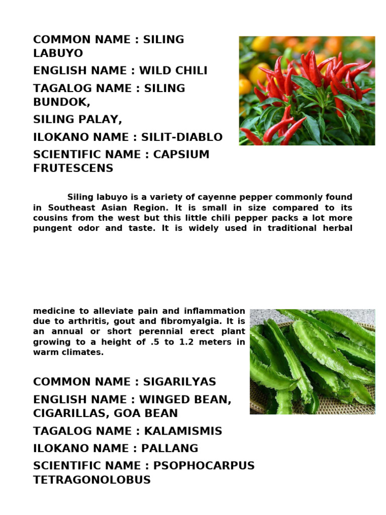 SIGNAGE (Plants) | PDF