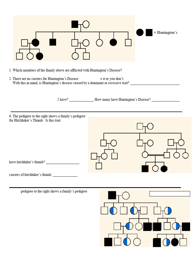 Pedigree Worksheet | PDF