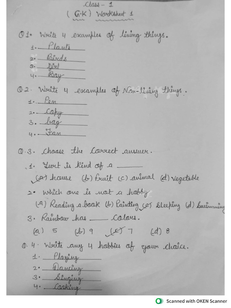G. K Worksheet 1 Class 1 | PDF