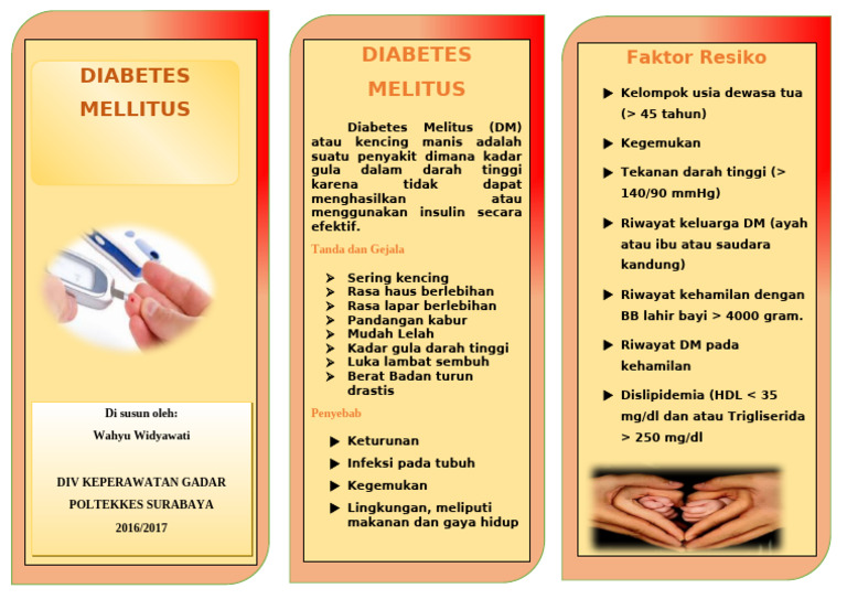 Leaflet DM 1 | PDF