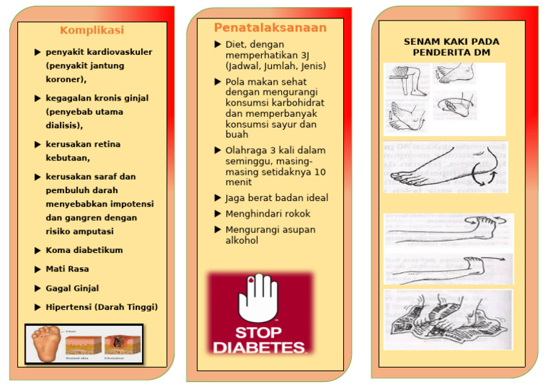 Leaflet DM 2 | PDF