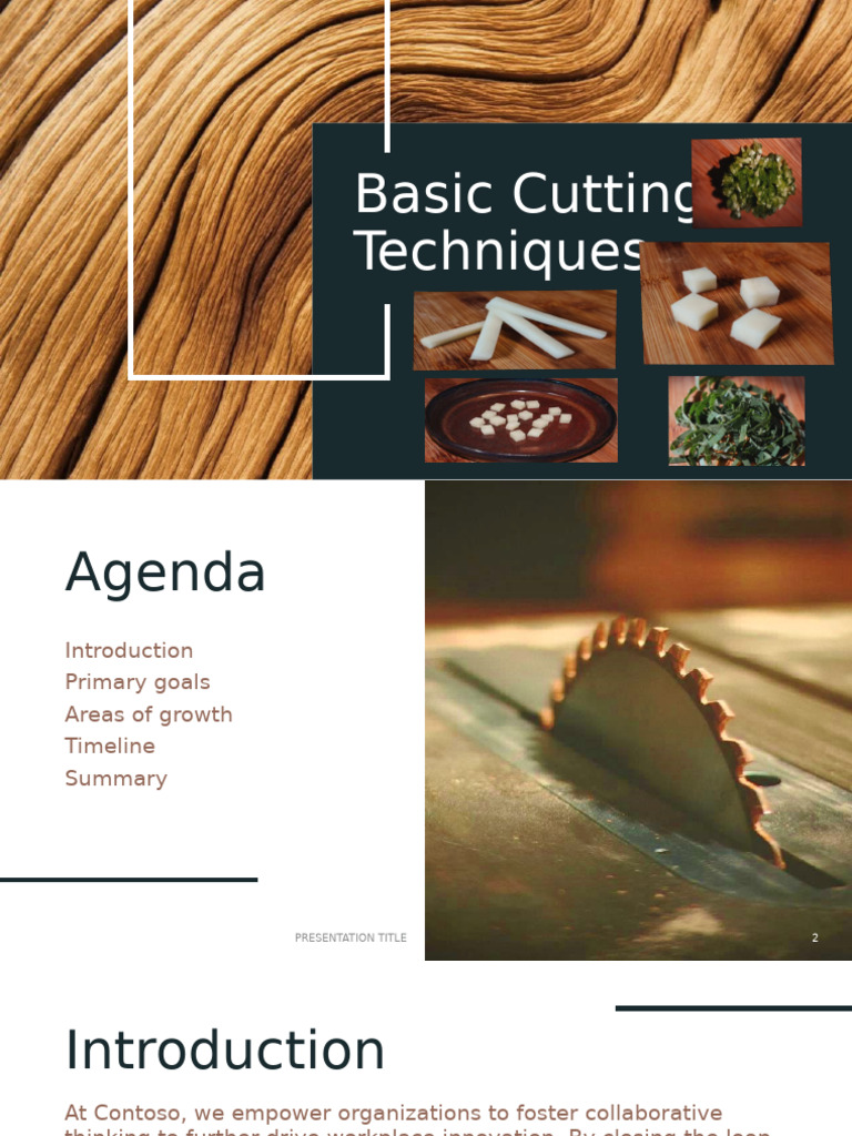 Basic Cutting Techniques | PDF