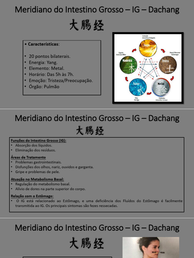 Ig - MTC | PDF