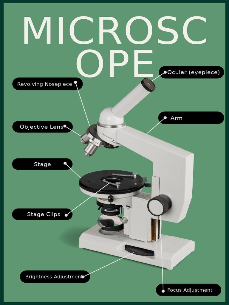 Green Black Microscope Poster Set | PDF