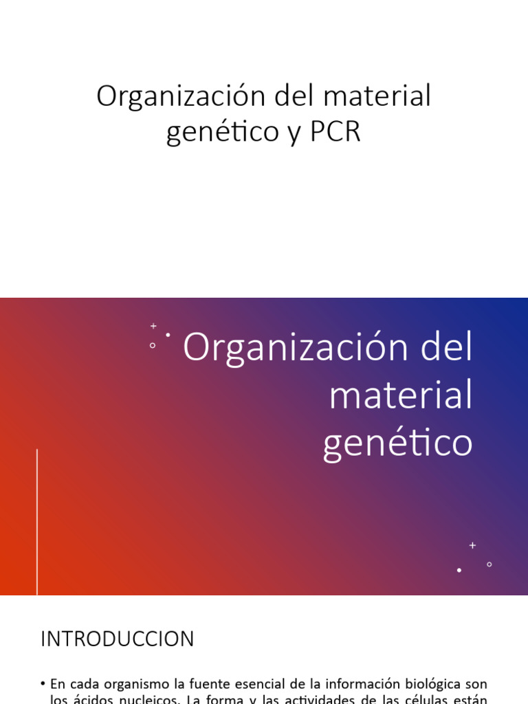 Organizacion de Material Genetico y PCR | PDF