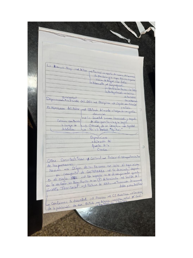 Apunte 4 Derecho Politico | PDF