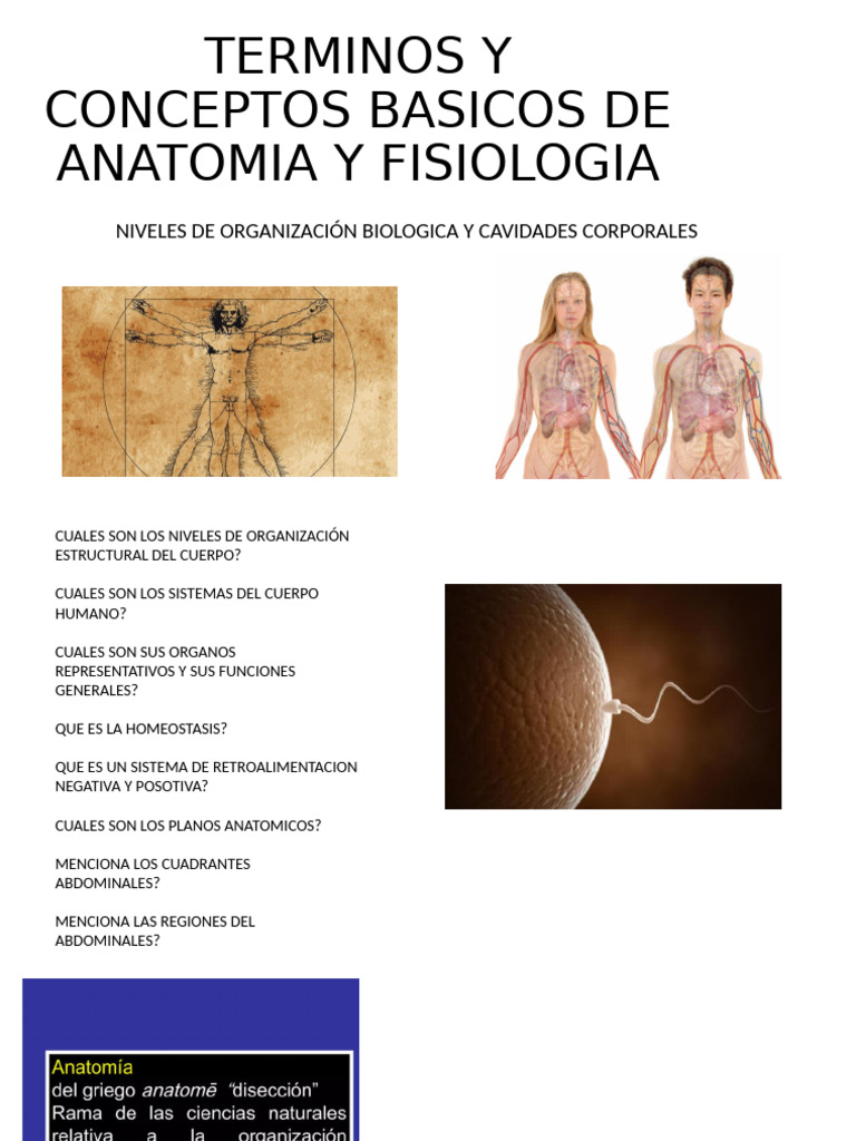 01 Terminos y Conceptos Basicos de Anatomia y Fisiologia | PDF