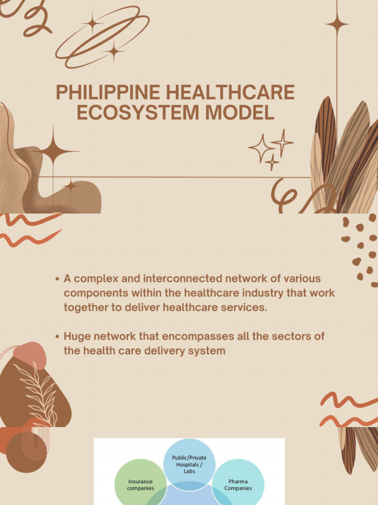 Philippine Healthcare Ecosystem Model | PDF