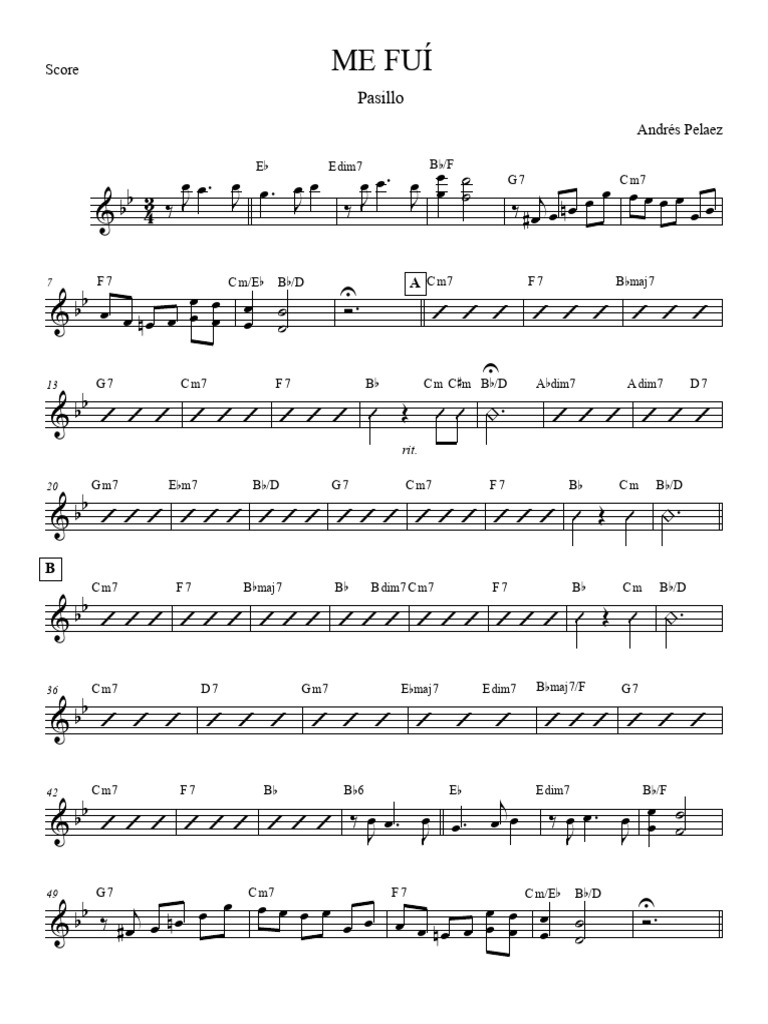 Me Fui Bambuco | PDF