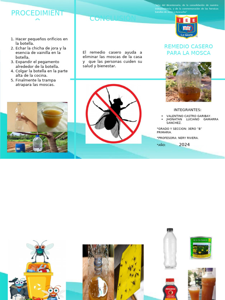 Remedio Casero | PDF