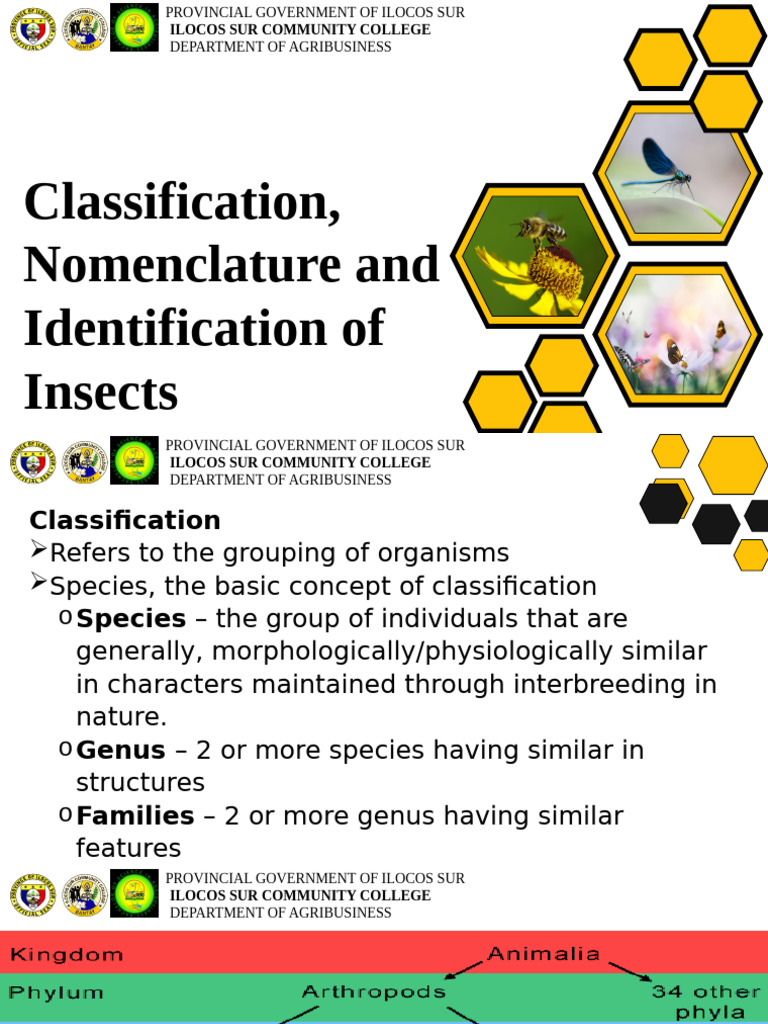 ENTOMOLOGY 1 Classification Nomenclature and Identification of Insects ...