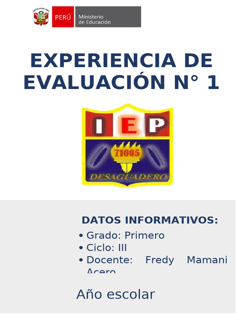 Experiencia De Evaluación 1 Comunicación Primer Grado Pdf