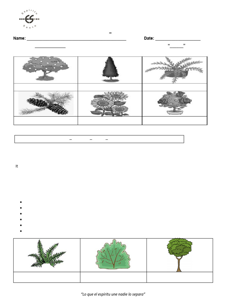4th-natural-science-study-guide-2024-2025-pdf-science-mathematics