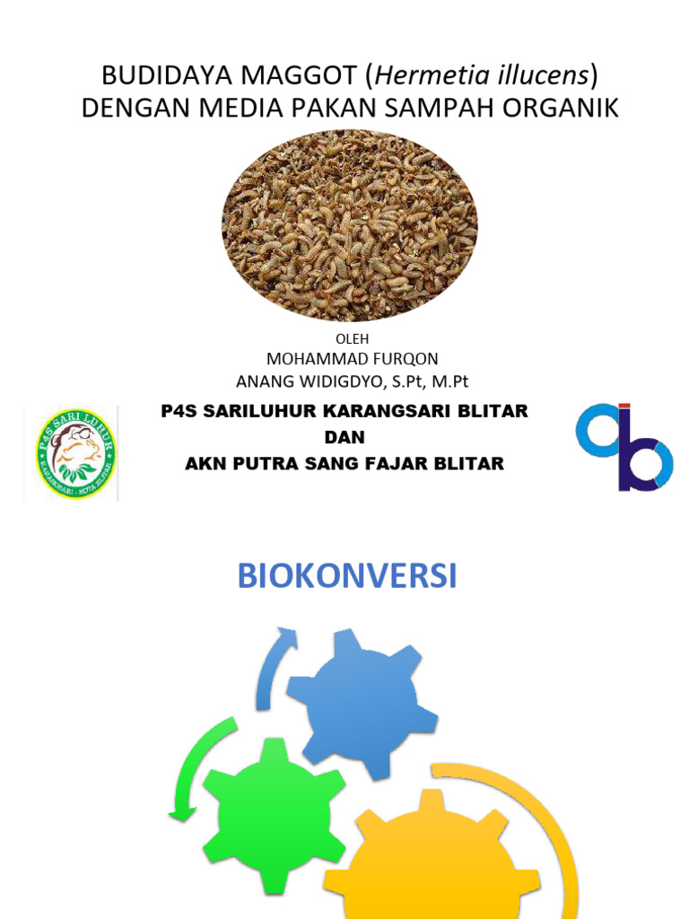 Pelatihan Budidaya Maggot | PDF