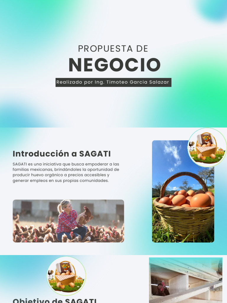 Presentación SAGATI - 071756 | PDF