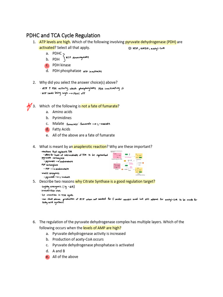 7 - PDHC - TCA Regulation Qs | PDF