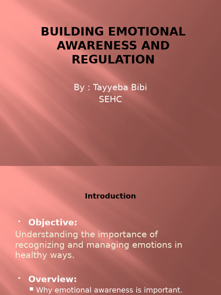 Building Emotional Awareness and Regulation | PDF