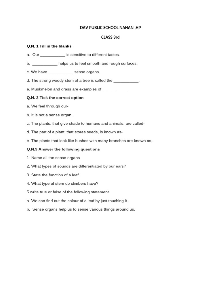 Ppt1 Class 3rd Pdf