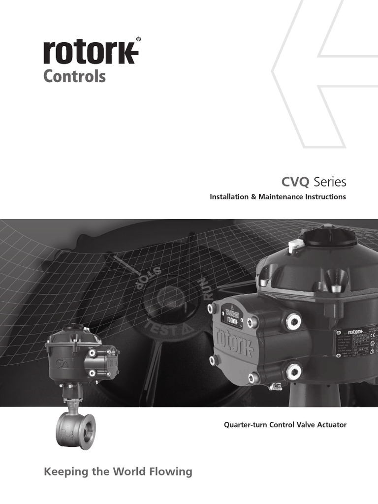 CVQ Manual | PDF