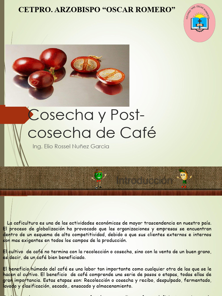 Cosecha y Post-Cosecha | PDF