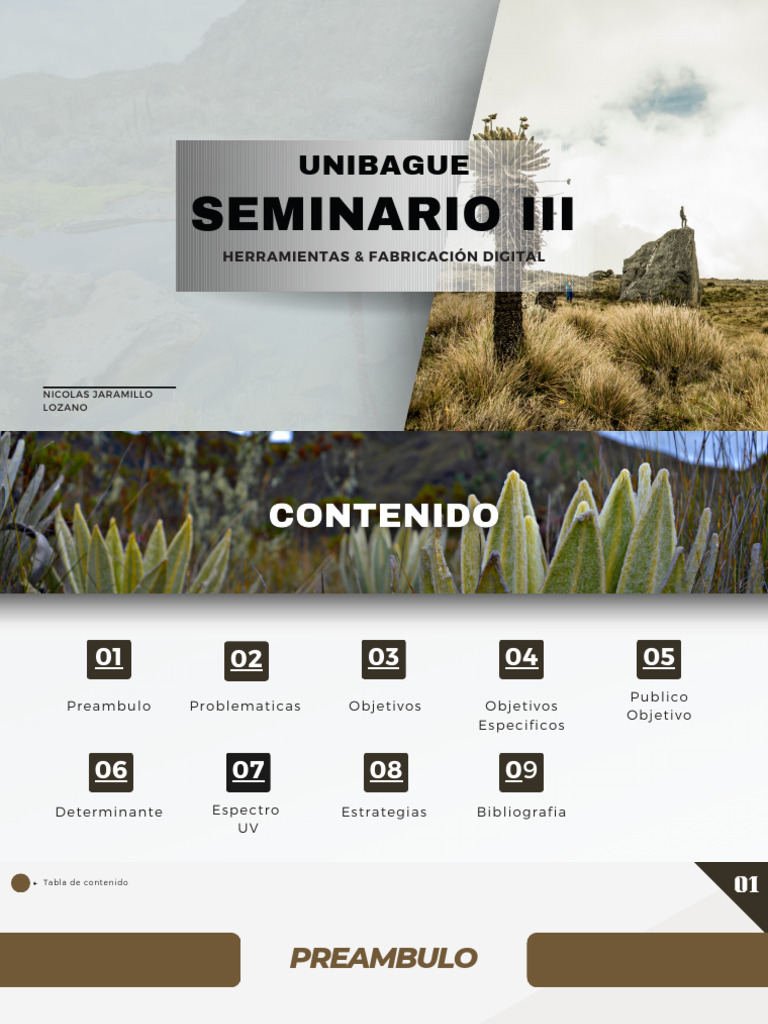 01-Problematicas Nicolas Jaramillo | PDF