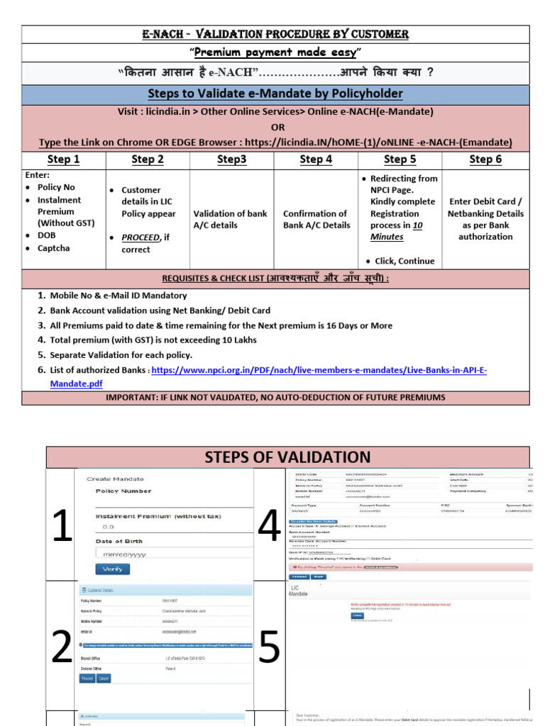 E-NACH - Validation Process in Few Minutes | PDF