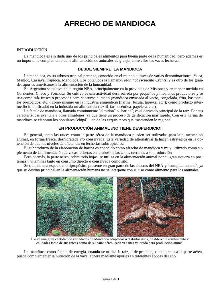 Afrecho de Mandioca en Alimentación Animal | PDF | Western Cuisine ...