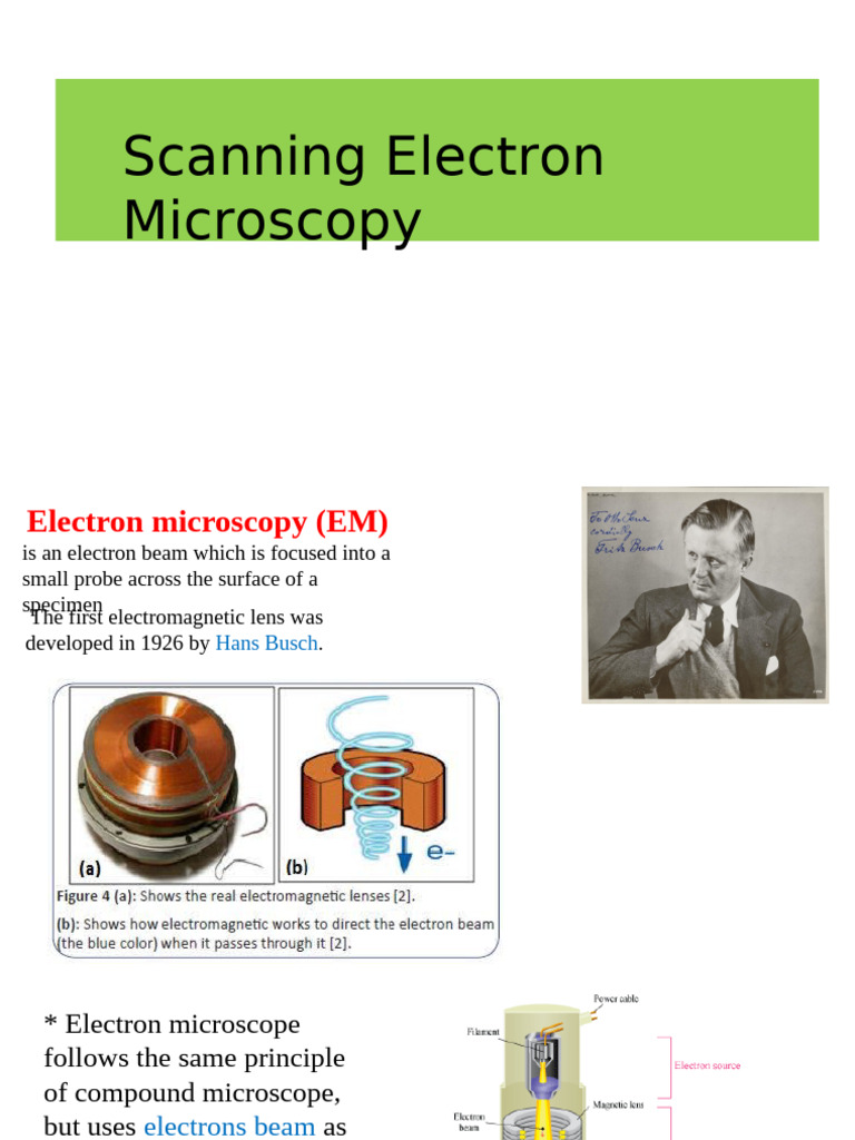 Scanning Electron Micros | PDF