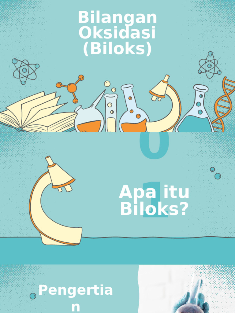 BILOKS | PDF