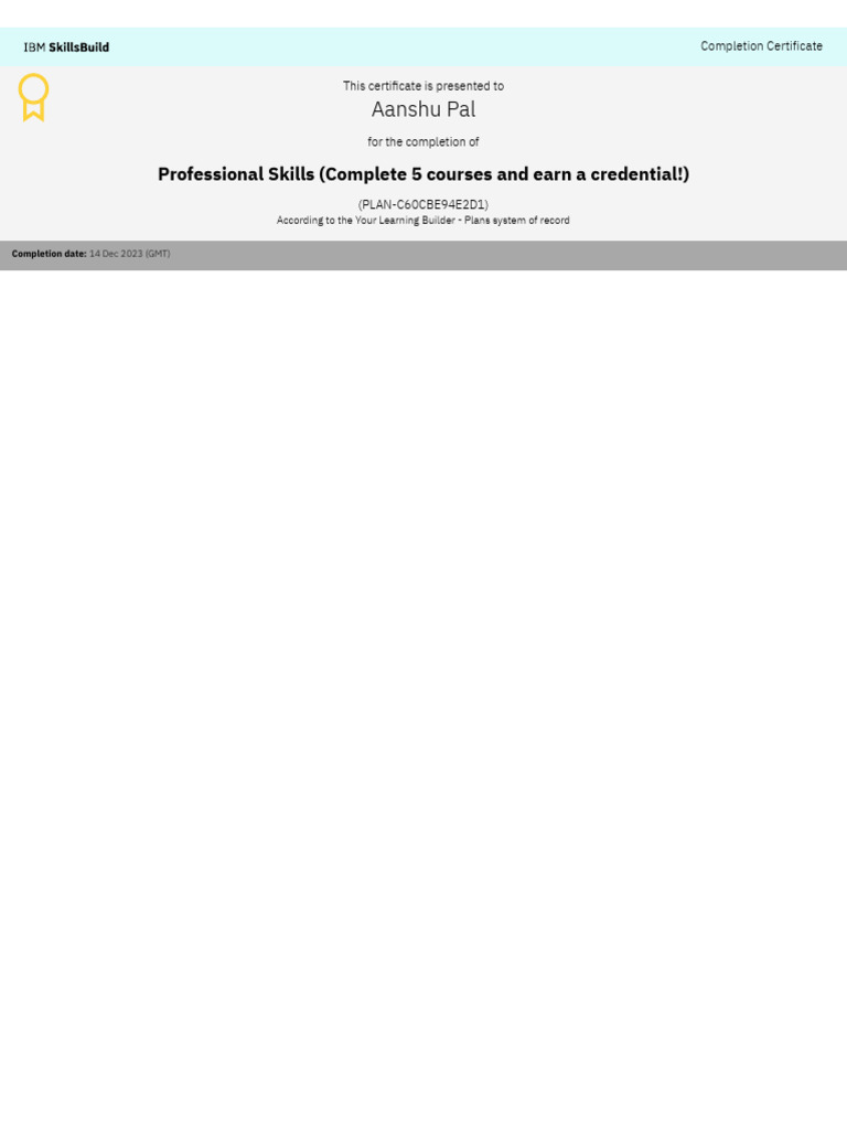 SkillsBuild IBM Professional Skills | PDF