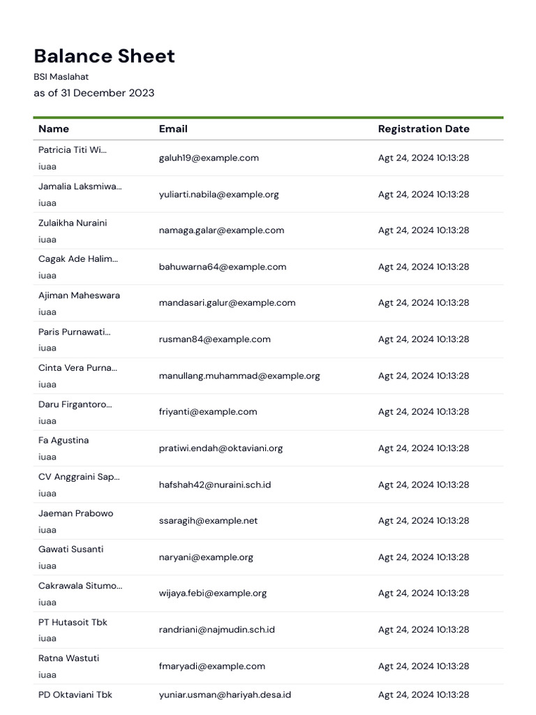 Balance Sheet Report - Default Organization | PDF