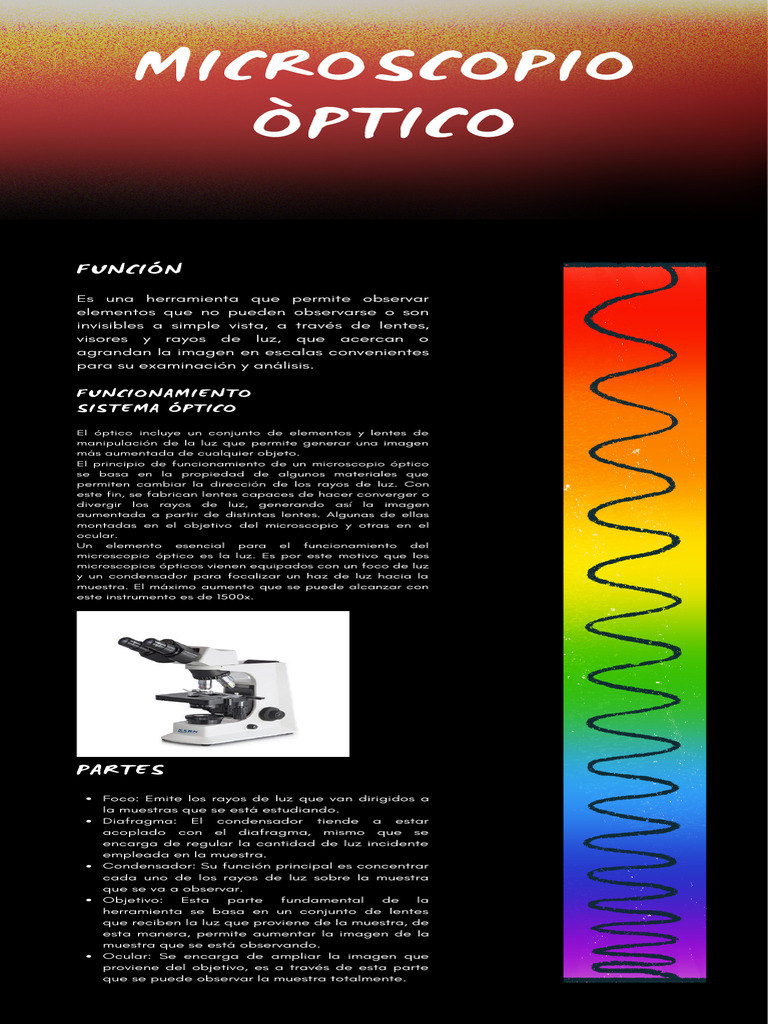 Infografía El espectro visible | PDF