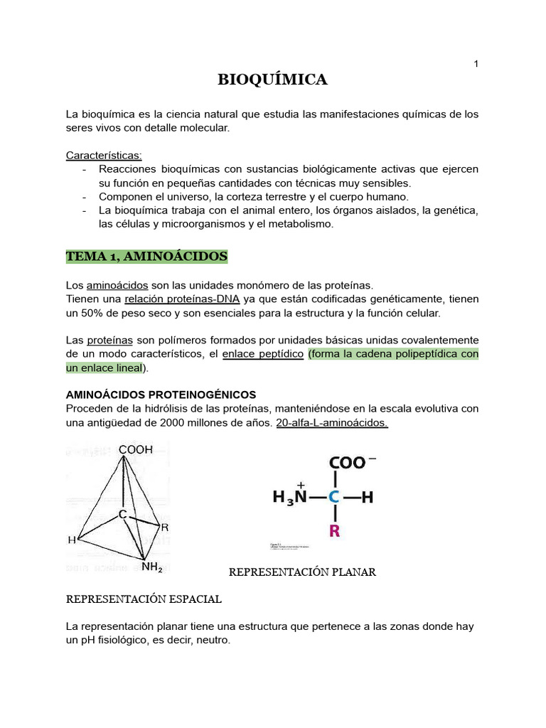 Bioquímica 2 | PDF