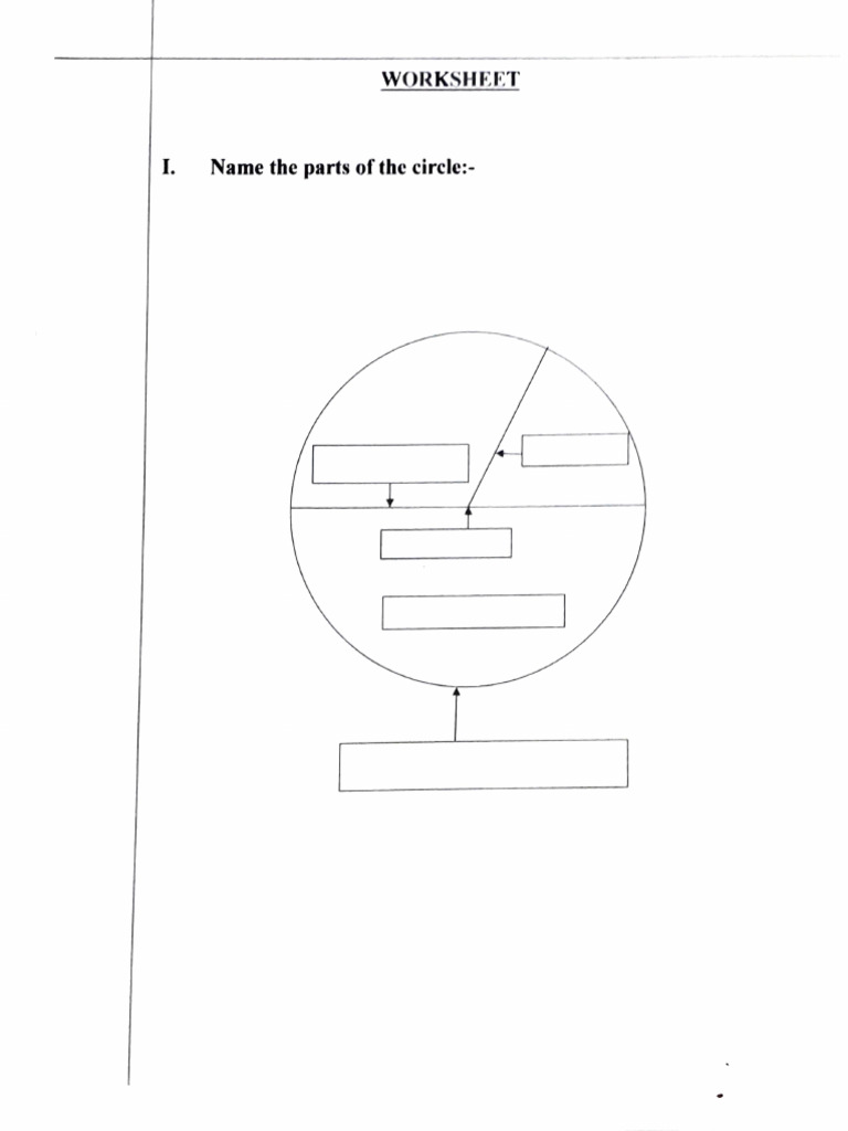Circle Worksheet | PDF