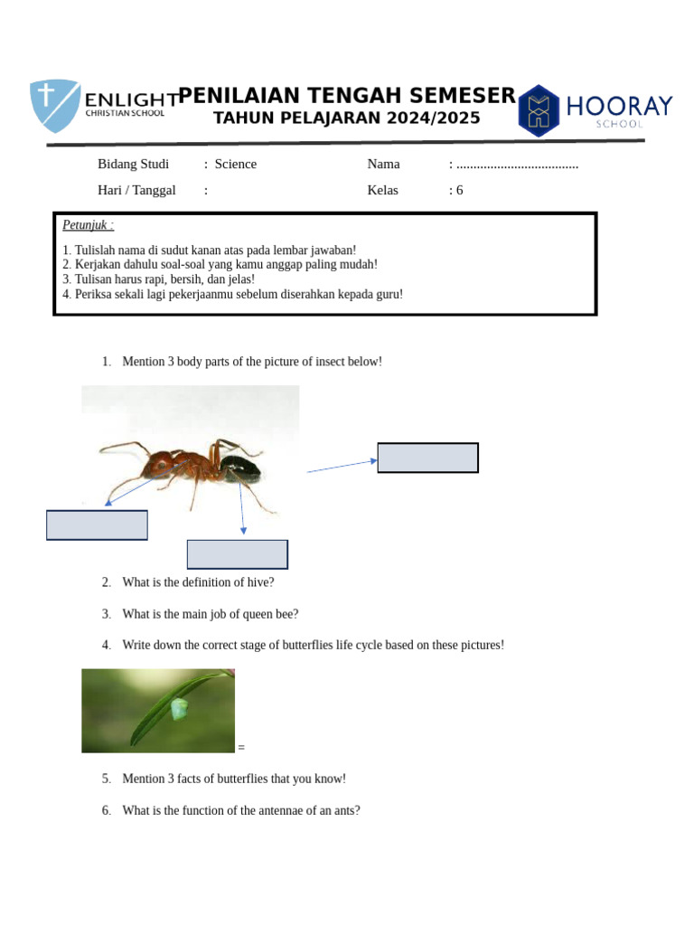 PH Grade 6 Science | PDF