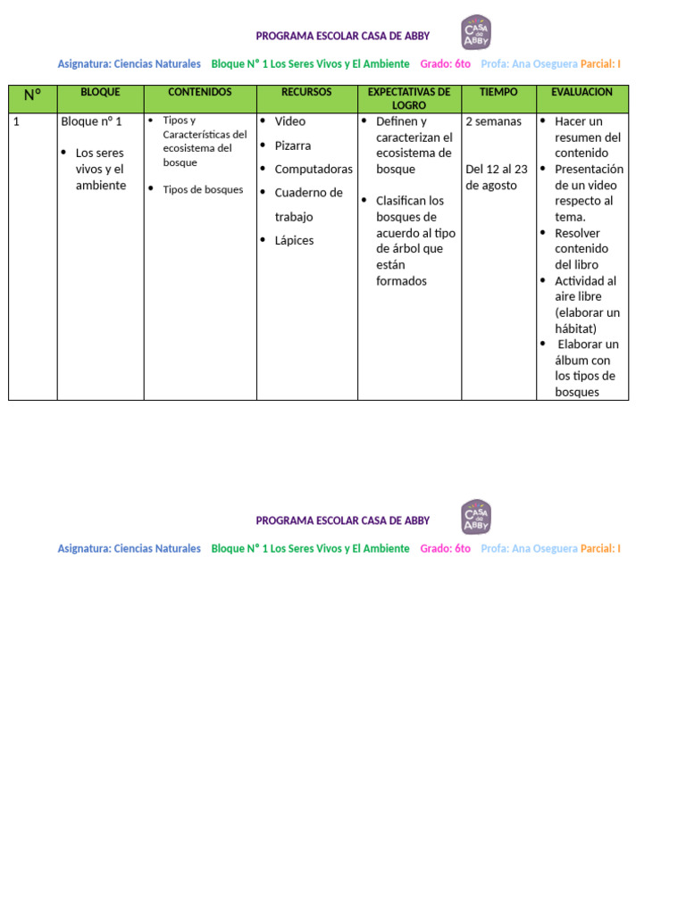 Planificacion de Clases | PDF