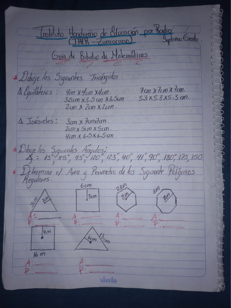 Guia Septimo (4) | PDF