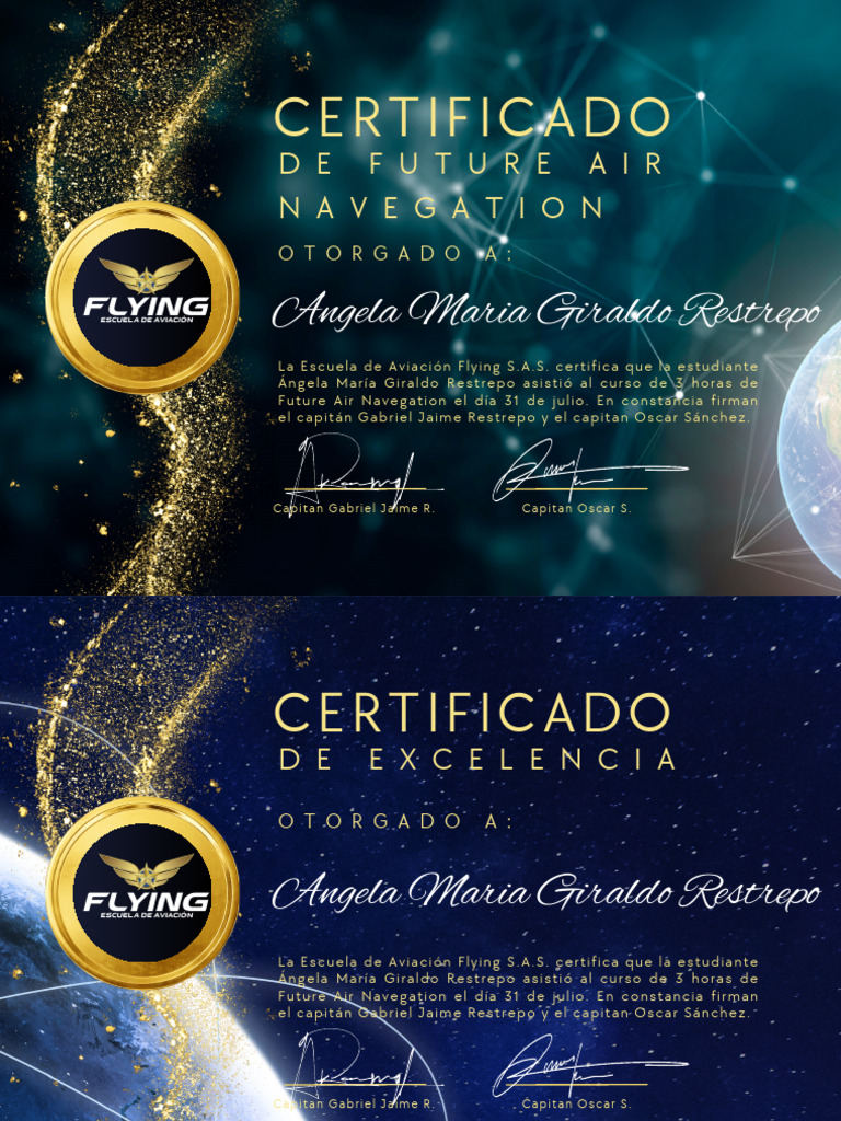 Future air navigation | PDF