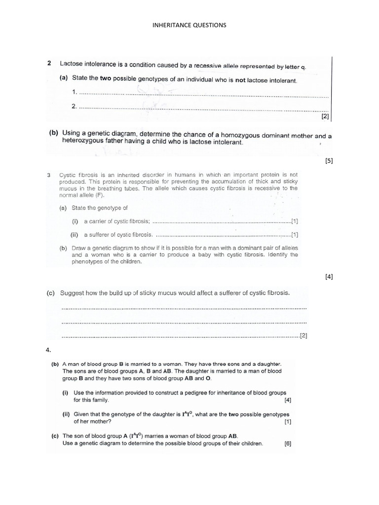 Inheritance Questions | PDF