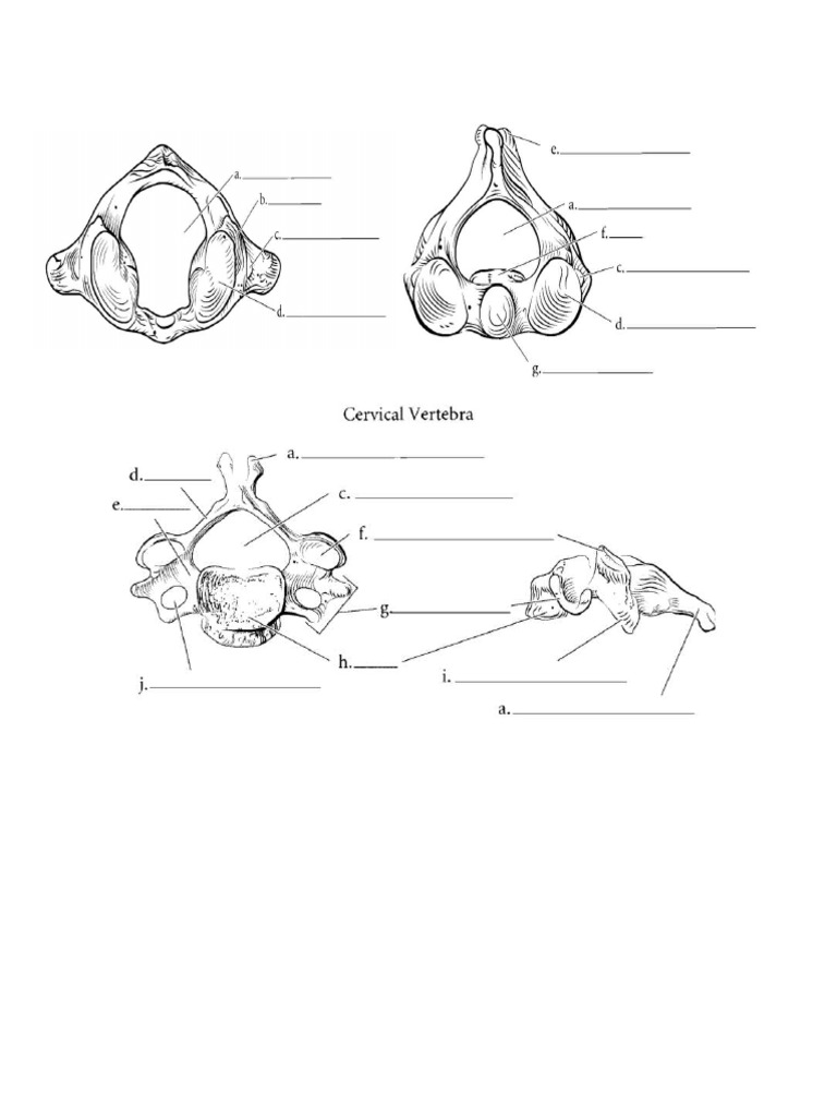 nh-gp-take-note-x-ng-pdf