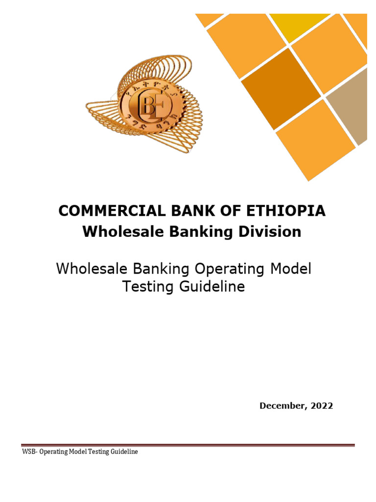 WSB - Operating - Model - Testing - Guideline Edited After EMC | PDF