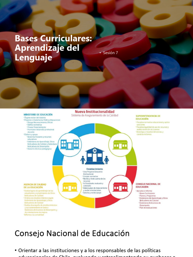 Bases Curriculares | PDF
