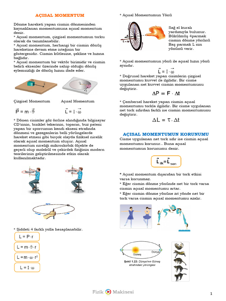 12.3 Acisal Momentum | PDF