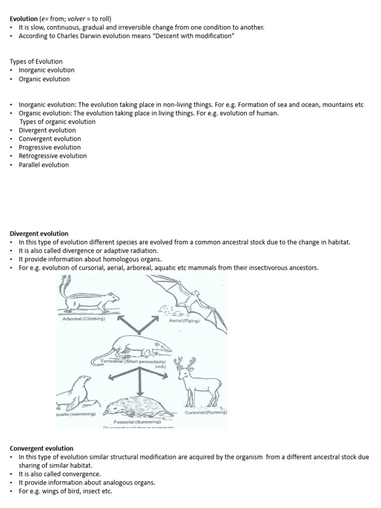 Evolution Note | PDF